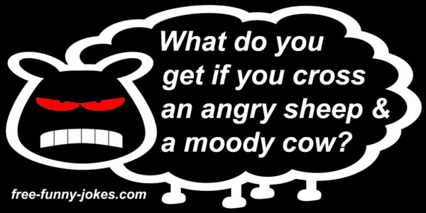 Sheep Jokes